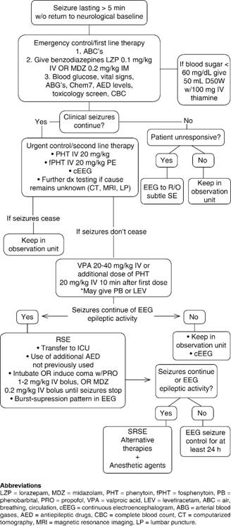 An update on the management of status epilepticus in adults