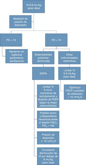¿Limitar la presión de distensión protege contra la lesión pulmonar ...