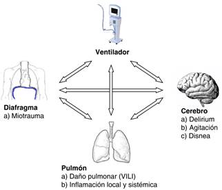 Impacto de las asincronías en el pronóstico del paciente ventilado