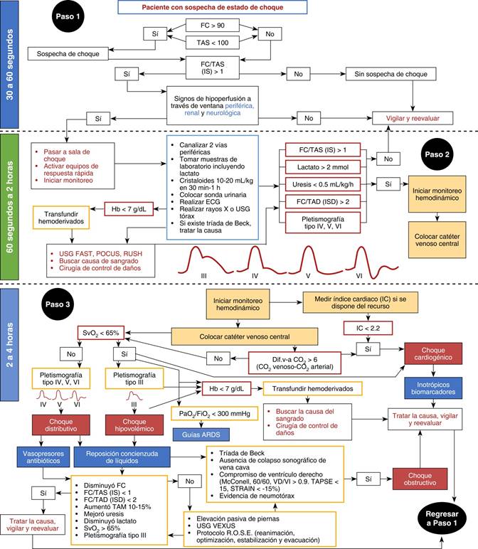 Algoritmo de Emergencias Médicas de Chiapas para pacientes en estado de ...