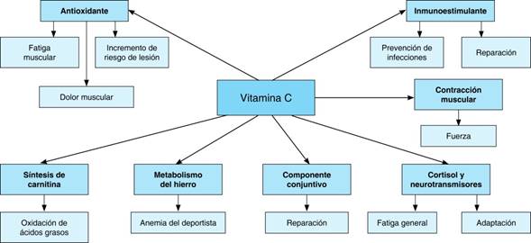 La vitamina C, implicaciones terapéuticas en el paciente con quemaduras graves