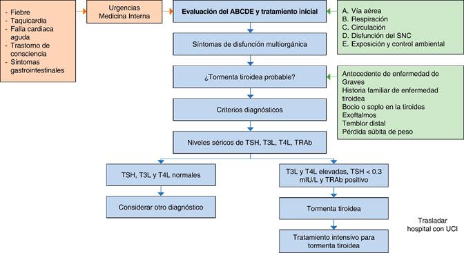 Tormenta tiroidea