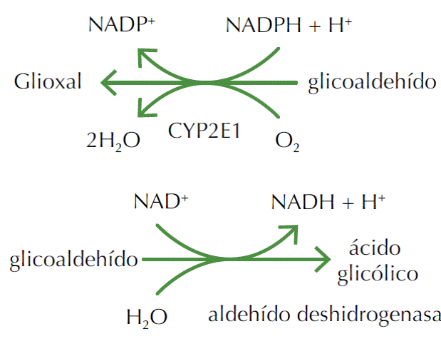Intoxicación por etilenglicol