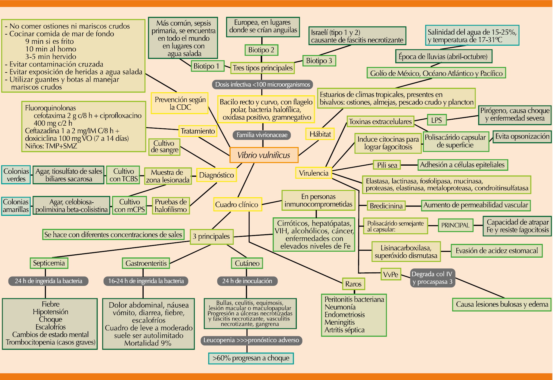 Mionecrosis fulminante metastásica por Aeromonas caviae