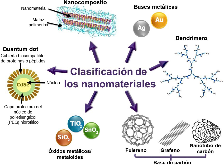 ¿Los nanomateriales pueden causar neurotoxicidad?
