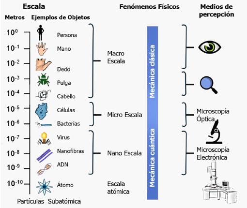 El mundo micro en el mundo nano: importancia y desarrollo de ...