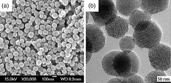 Nanopartículas de silicio como vehículos de transporte para moléculas ...