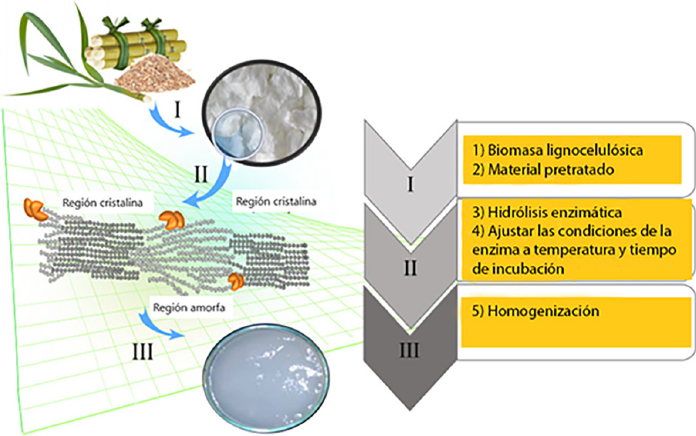 Obtención de nanocelulosa a partir de residuos postcosecha