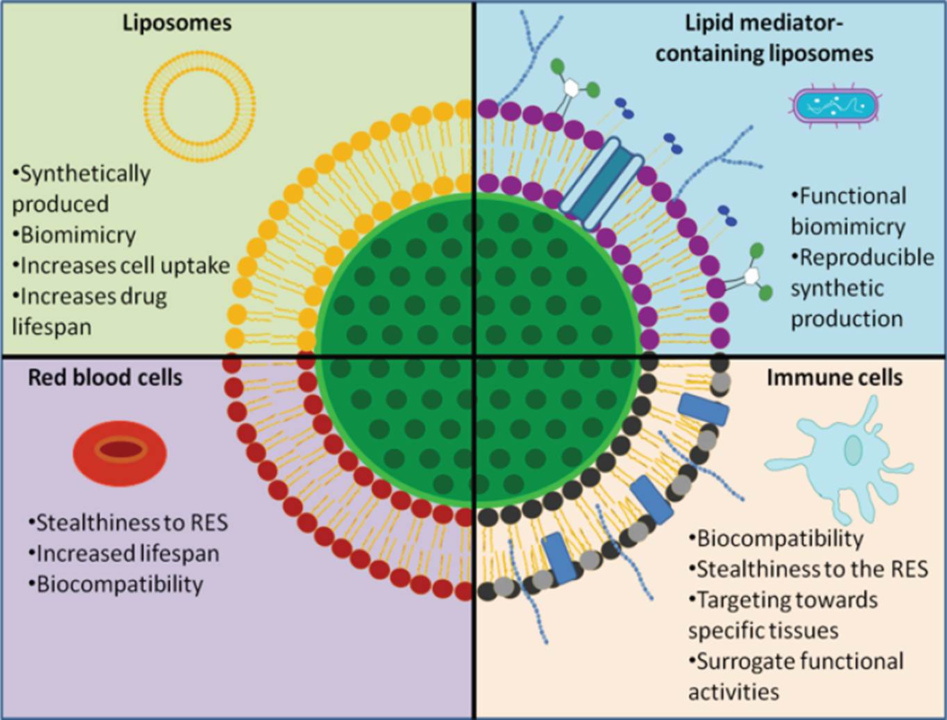 Lipid bilayer-coated nanoparticles: mimetism for biomedical applications