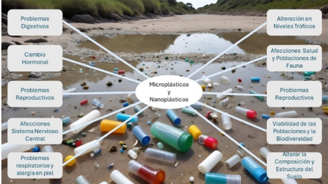 Microplásticos y nanoplásticos: una amenaza para la salud humana y el ...