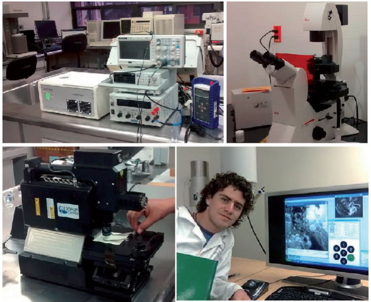 Universidad de las Américas Puebla