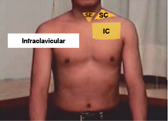 Exploración física toracopulmonar. Proyecto tutorial-interactivo