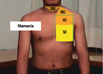 Exploración física toracopulmonar. Proyecto tutorial-interactivo