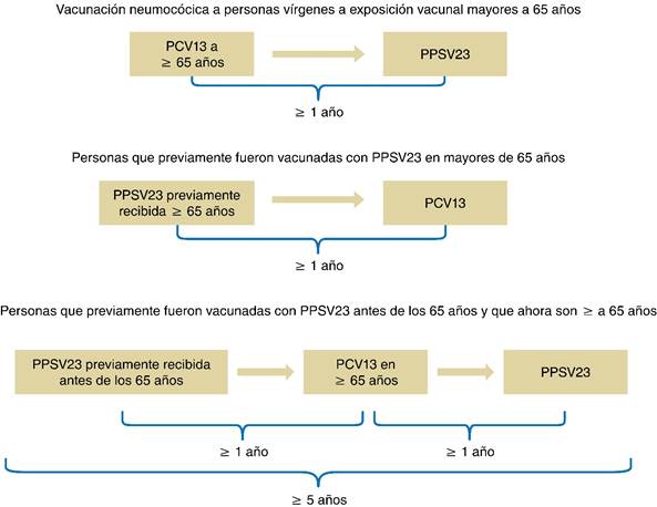 Vacunación neumocócica conjugada en adultos. Recomendaciones de las ...