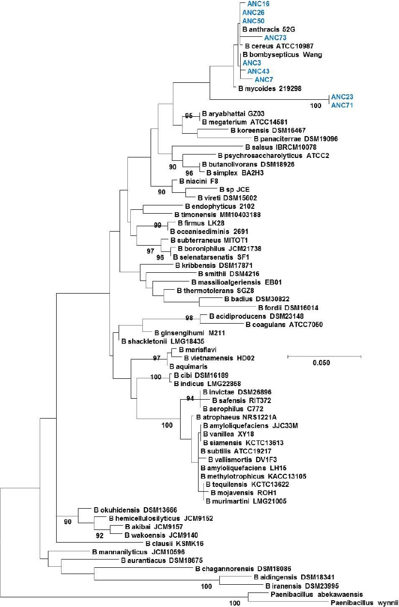 Starch- and cellulose-related microbial diversity of soil sown with ...