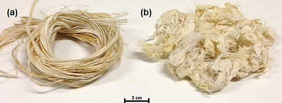Hemicellulose Removal in Curaua (Ananas erectifolius) Fibers for ...