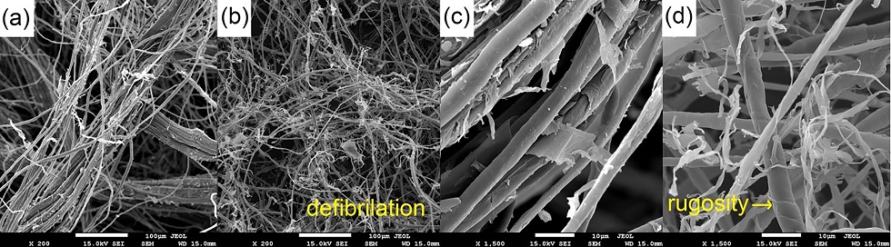 Hemicellulose Removal in Curaua (Ananas erectifolius) Fibers for ...