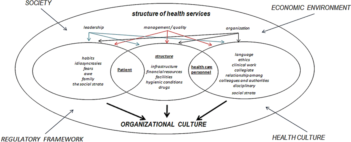 A systemic model of analysis of organizational culture in health care ...