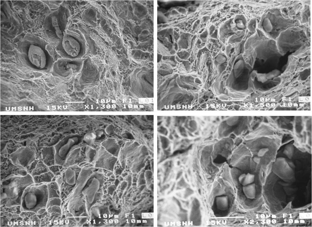 Fatigue resistance improvement of a forging medium carbon steel using ...