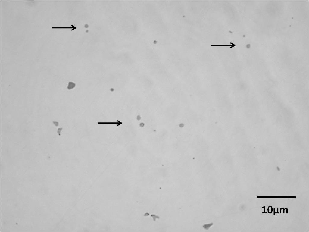 Fatigue resistance improvement of a forging medium carbon steel using ...