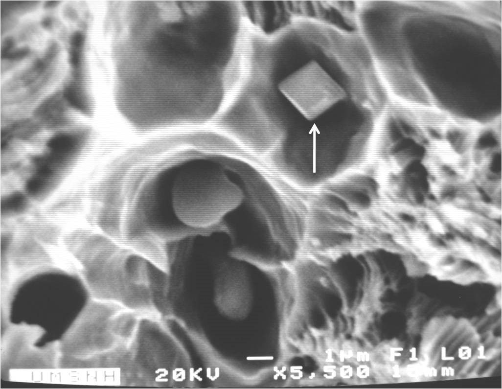 Fatigue resistance improvement of a forging medium carbon steel using ...