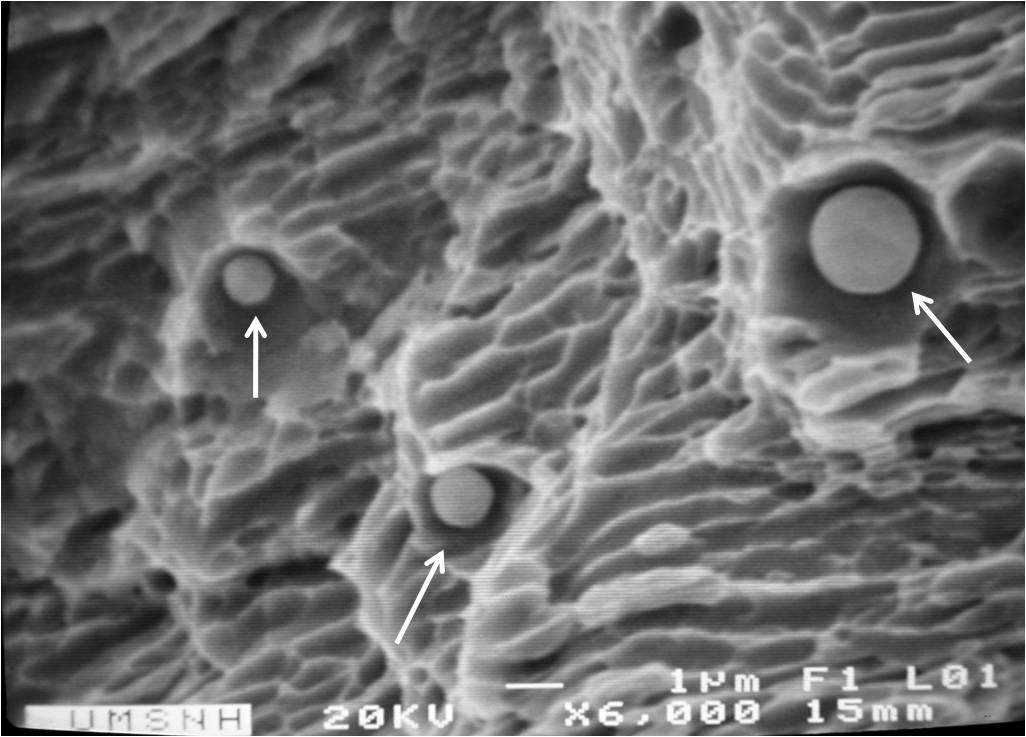 Fatigue resistance improvement of a forging medium carbon steel using ...