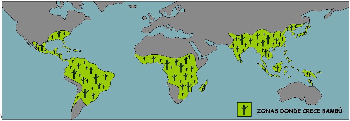 El bambú como elemento estructural: la especie Guadua amplexifolia