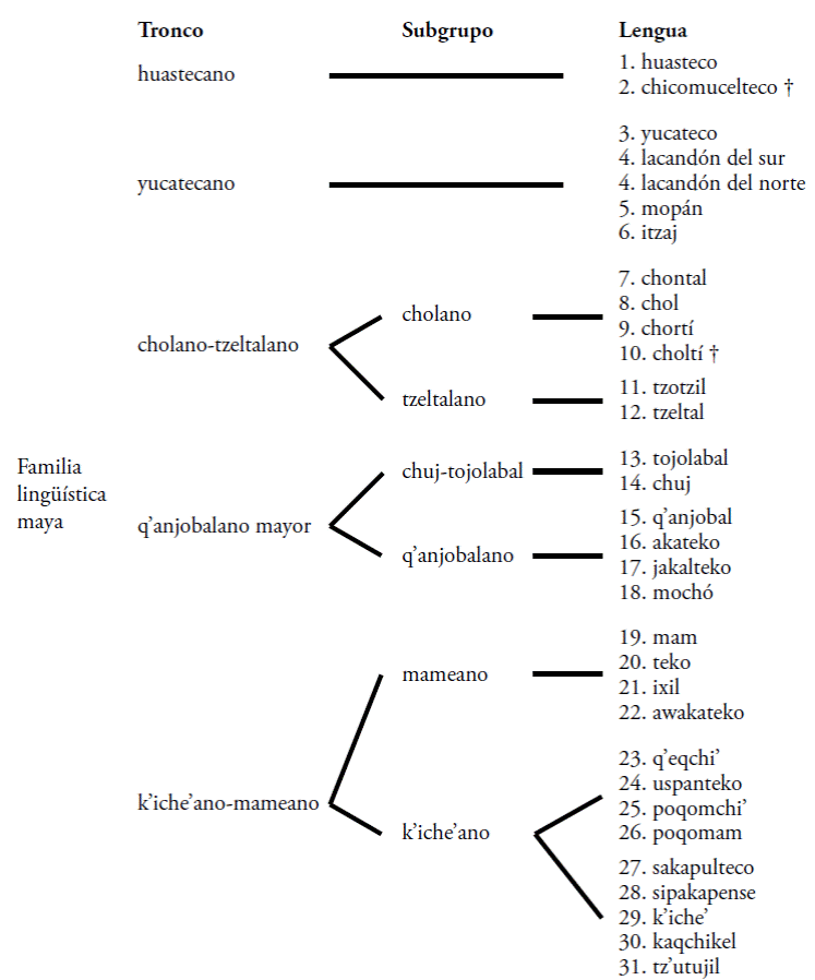El maya yucateco en la formación de estudiantes de lingüística de la ...