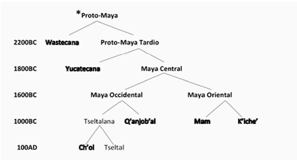 La reconstrucción de la adquisición fonológica del proto-maya