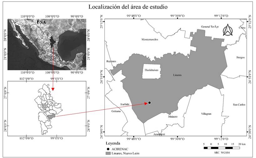 Estructura y diversidad del matorral xerófilo en el Noreste de México