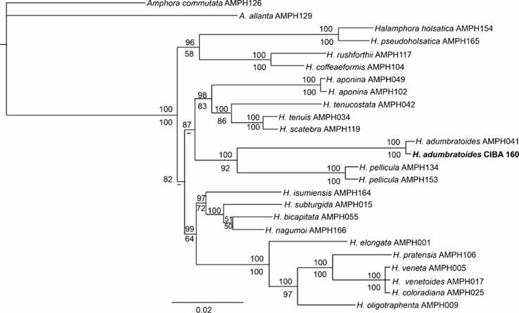 An integrative approach reveals the identity and interoceanic ...