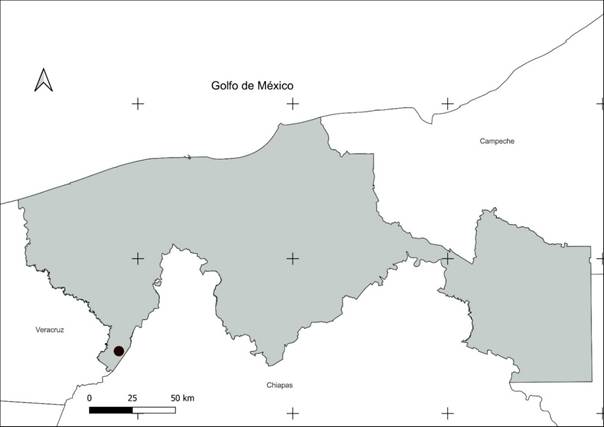 Estructura y diversidad arbórea de una selva mediana perennifolia en el ...