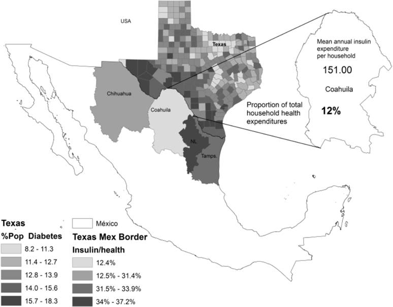 Expenditure patterns and social determinants of type II diabetes ...