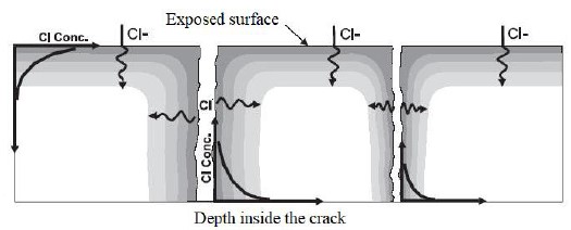 Durability analysis of reinforced concrete with loading induced cracks