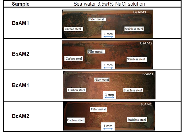 Electrochemical behavior of dissimilar welded joints between ASTM A615 ...