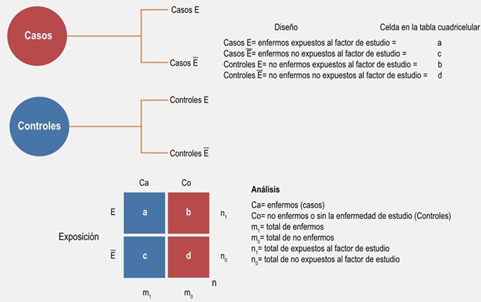 Medición en epidemiología: prevalencia, incidencia, riesgo, medidas de ...