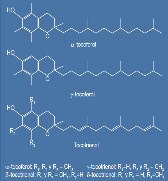 Vitaminas antioxidantes en asma