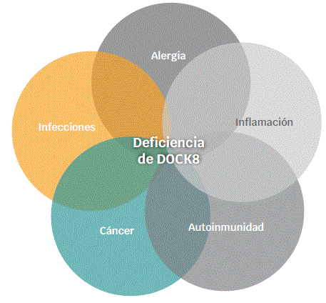 Inmunodeficiencia combinada debida a deficiencia de DOCK8. Lo que ...