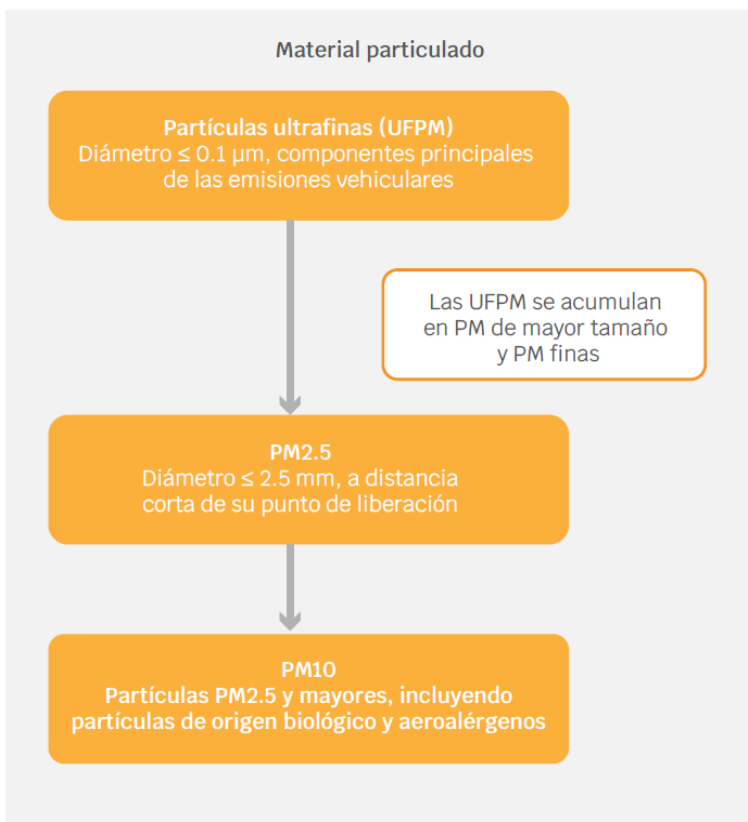 Contaminación ambiental y alergia