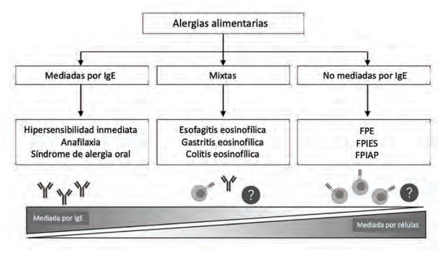 Alergia alimentaria no mediada por IgE