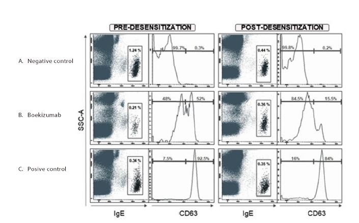 Successful subcutaneous desensitization in a patient with systemic ...
