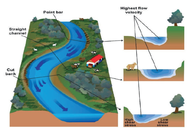 Dendrogeomorphology as a tool to depict hydrogeomorphic processes in ...