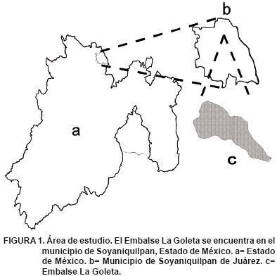 Trama trófica de los peces del embalse la goleta (primavera 2007) en el ...
