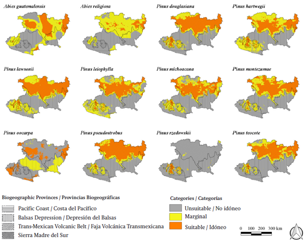 Potential distribution model of Pinaceae species under climate change ...