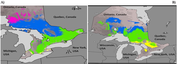 Assisted migration of forest populations for adapting trees to climate ...