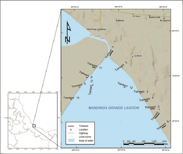 Structure, goods and services of the Mandinga mangrove in Veracruz