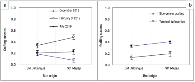 Impact of external and internal factors on successful grafting of Pinus ...