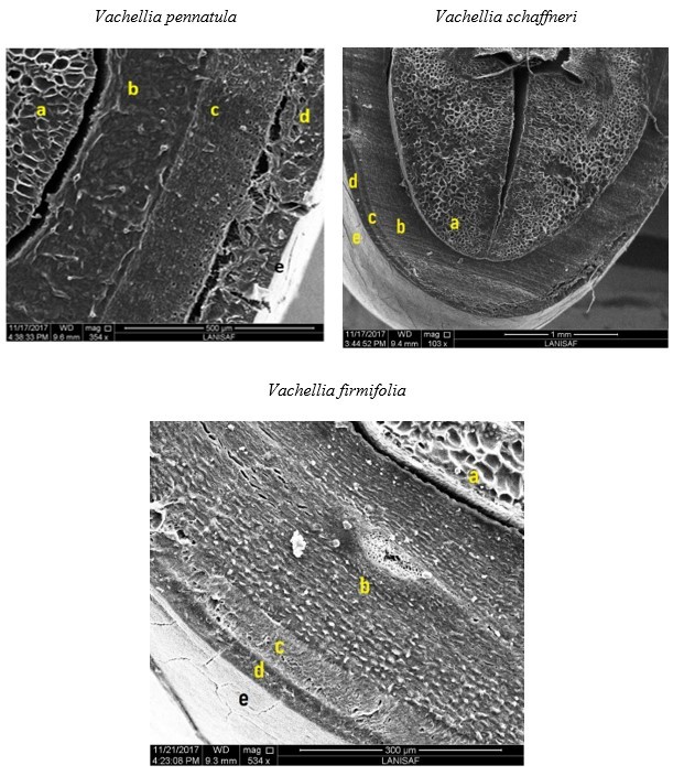 Factors influencing physical dormancy and its elimination in two ...