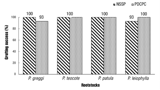 Effective protocol to increase the percentage of grafting success of ...