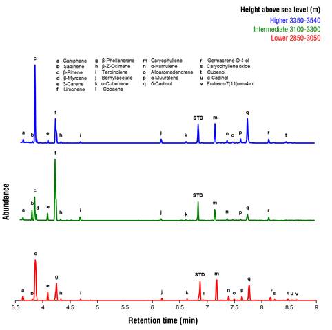 Phytochemical variation among sacred fir (Abies religiosa [Kunth ...